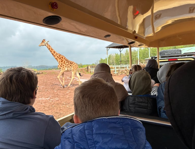 École Saint-Joseph Geer : maternel et primaire spécialisé | Ecole Saint ...