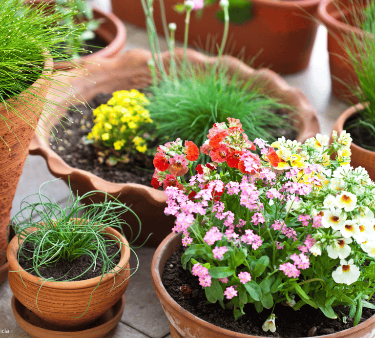 How to Transform Your Balcony into a Spring Oasis? 15 Inspiring Ideas ...