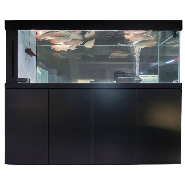 Home [geodaaquarium.com]