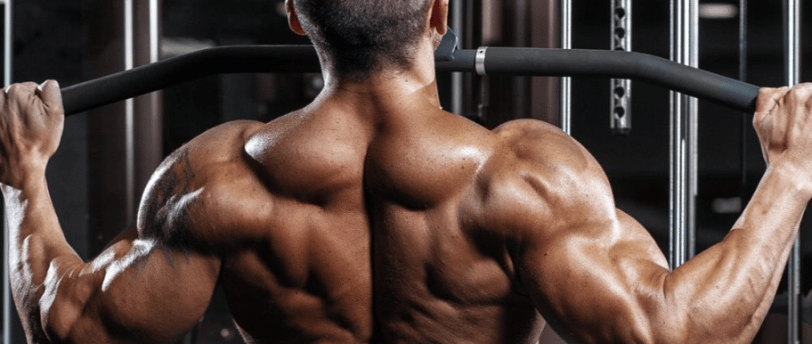 Basic Hypertrophy Training the Proper Way: An Overview | AnlianFitness