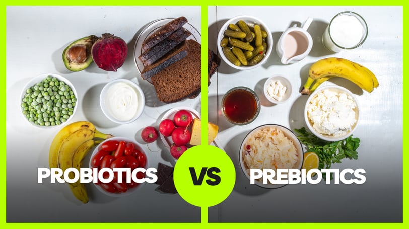 Understanding Gut Health: Probiotics vs Prebiotics | Talk Trend