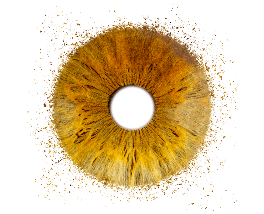 Découvrez la beauté unique de vos yeux avec Iris Capture France ...