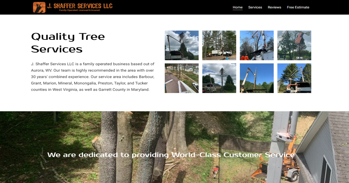 Top-Quality Tree Trimming, Tree Removal, and Stump Grinding Services ...